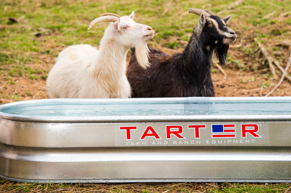 TARTER OVAL DURA STOCK TANK - Saltillo, MS - Scruggs Farm Supply