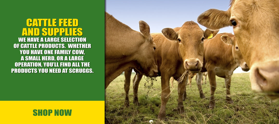 Home Improvement Store - Saltillo, MS | Scruggs Farm, Lawn, and Garden